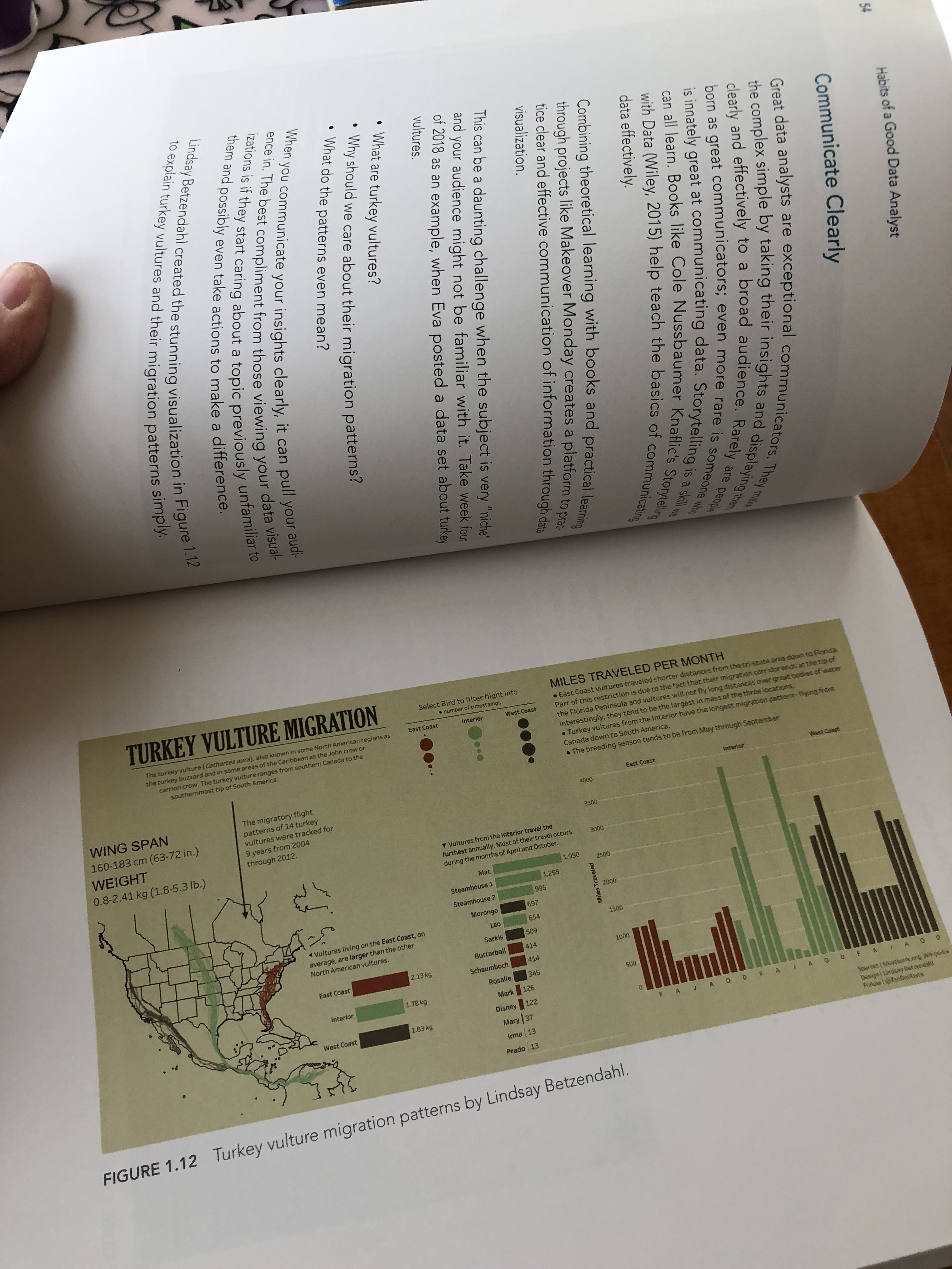 Looking Back at the Amazing 2018 – Viz Zen Data