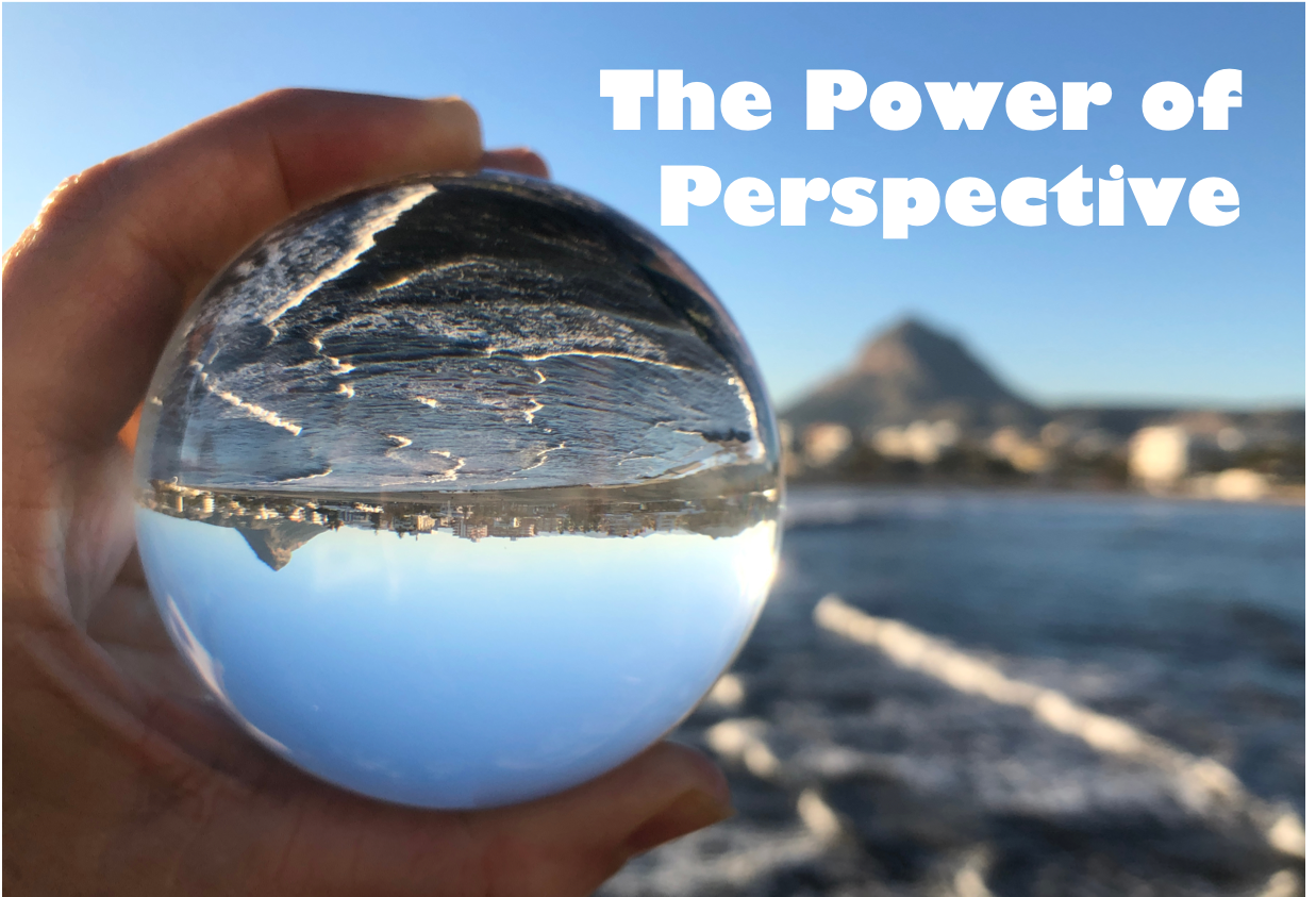 The Power of Perspective – Viz Zen Data