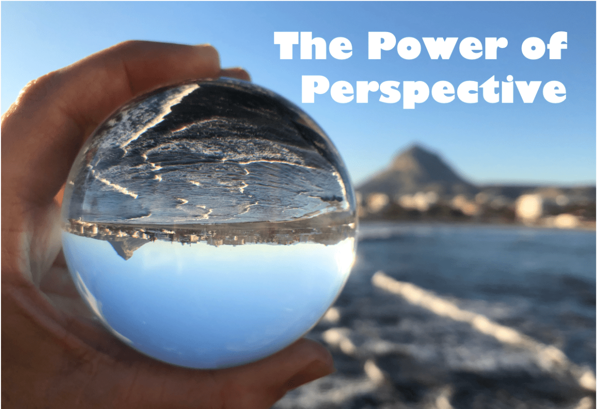 The Power of Perspective – Viz Zen Data